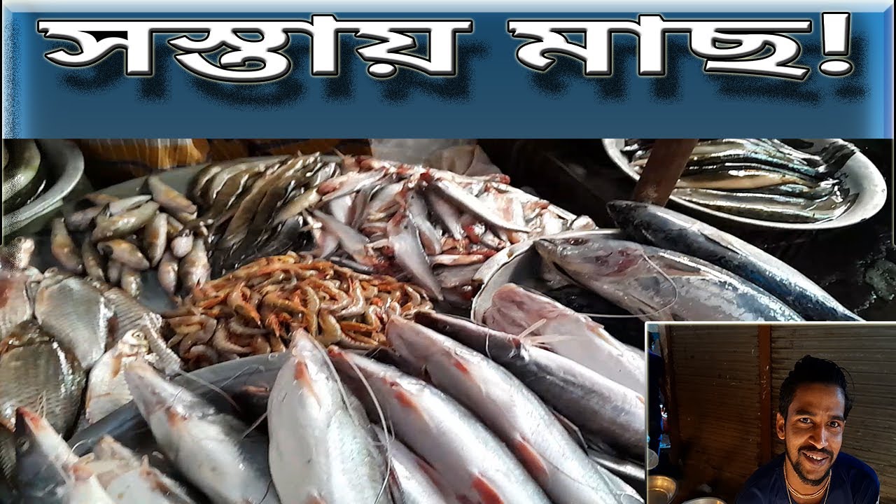 রোজার কারণে সস্তায় মাছ! ক্রেতা শূন্য || Joarshahara Local Fish Market ...