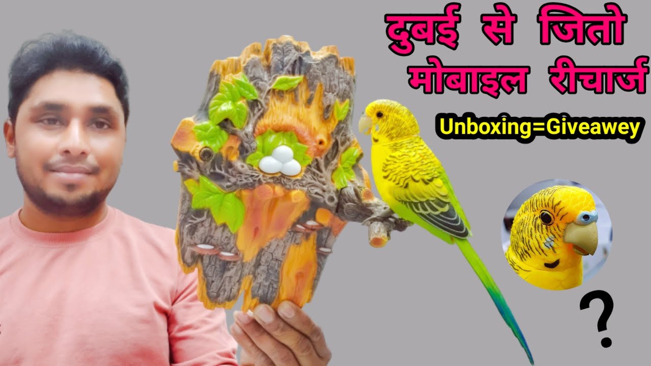 Beautiful Bird toy | Heartfull Bird cage and also espice Saunders Bird ...