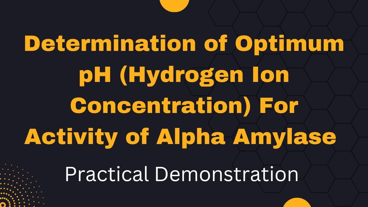 Determination of Optimum pH For Activity of Alpha Amylase|Practical ...