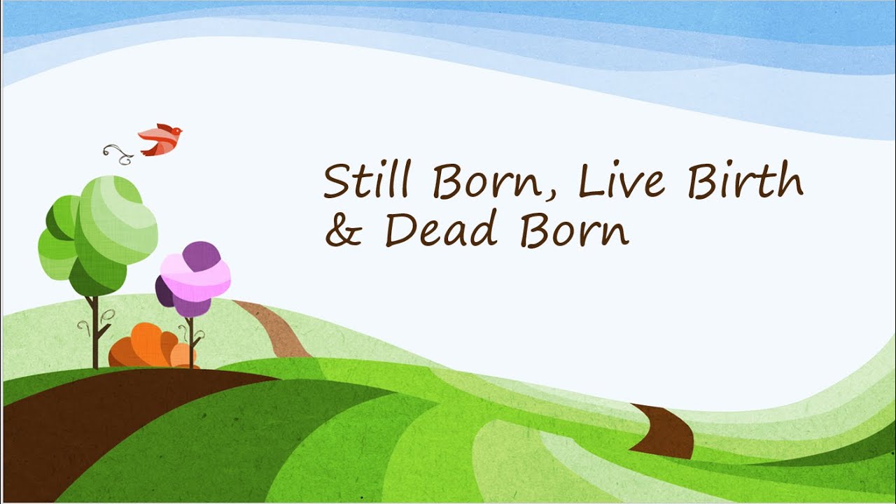 Still Born, Live Birth & Dead Born #ForensicMedicine #Bangla #StillBorn ...