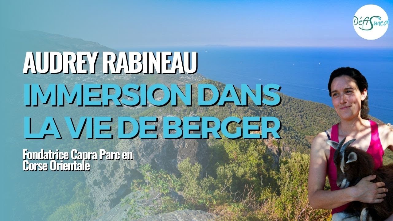 Immersion Dans La Vie De Berger | Capra Parc en Corse Orientale - YouTube