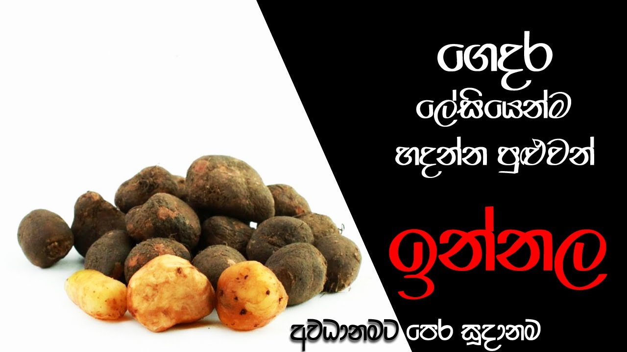 ඉන්නල වගාව (Innala / Chinese potato ) - YouTube