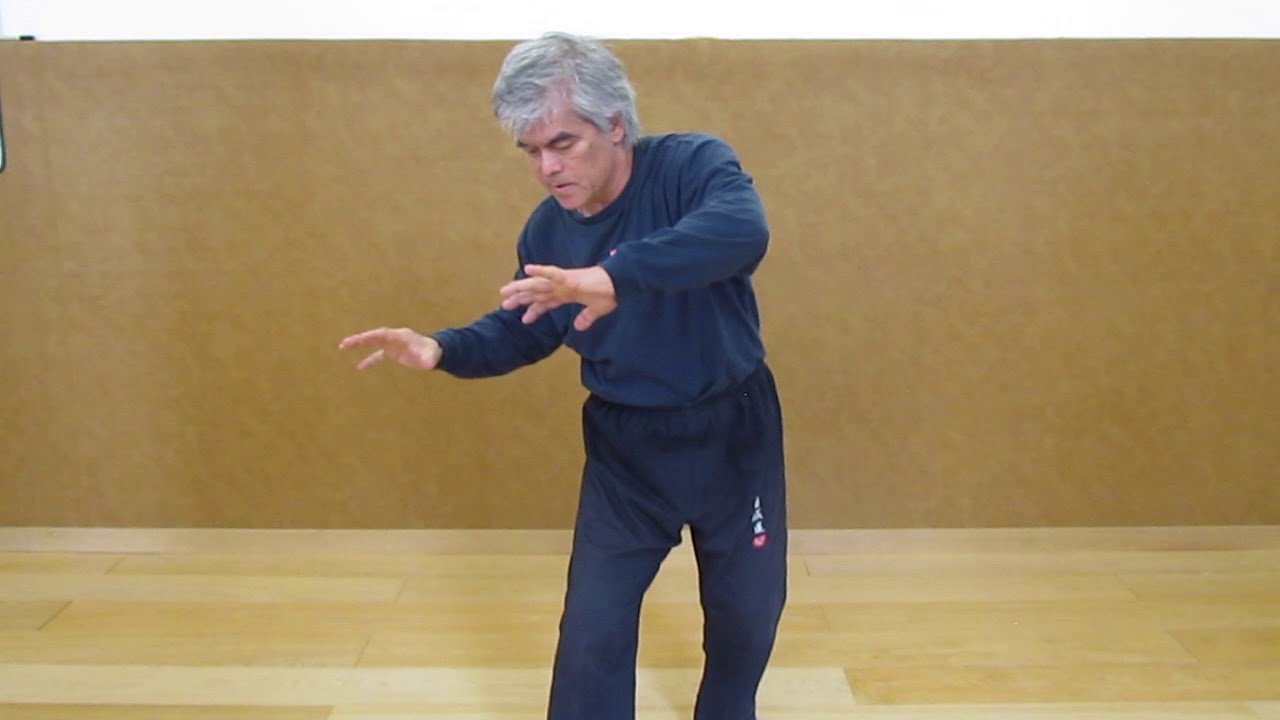 Senseï Kenji Tokitsu: le serpent surpris - YouTube