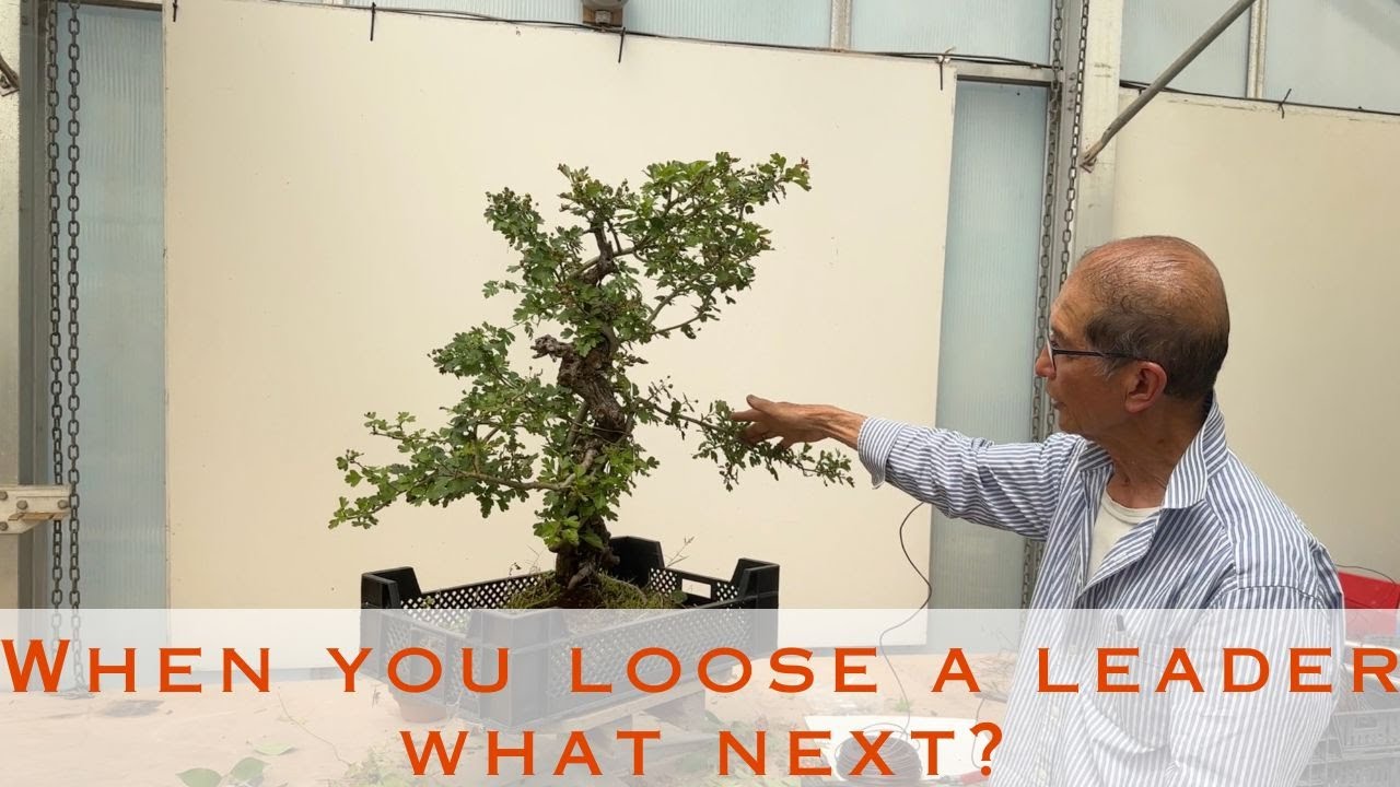 When you loose a Leader see what happens - YouTube