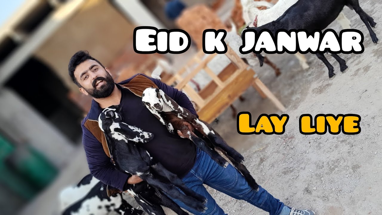 Alhamdulillah Eid k janwar lay liye ️Mandi k din taza ho gaye 😜 # ...