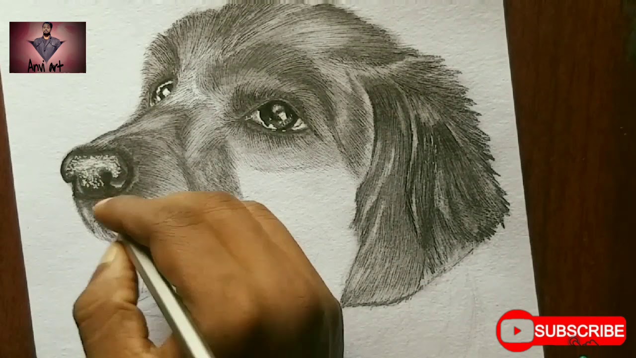 drawing dog sketch // realistic shading// easy and best technique for ...