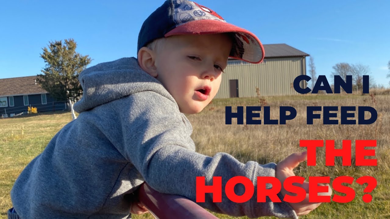 My Little Helper - YouTube