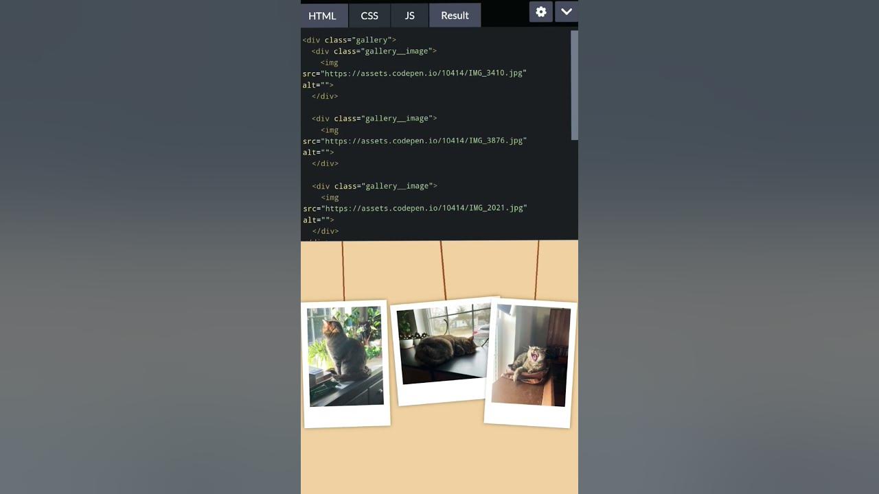 Hanging Image Moving Animation Effect 😯😯😯 Html5 Javascript And Css3 Animation 🔥🔥🔥ytshorts 