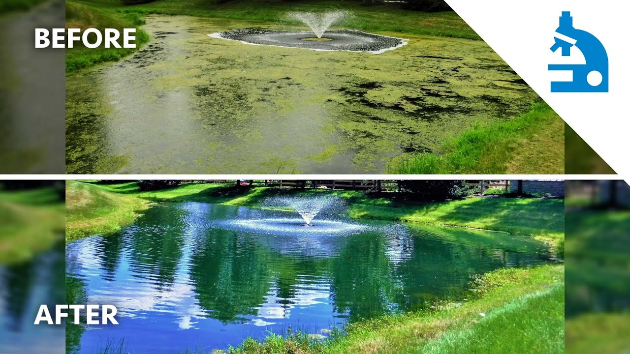 Aquashade Mini-Series: Let's Throw Some Shade (On Algae) - YouTube