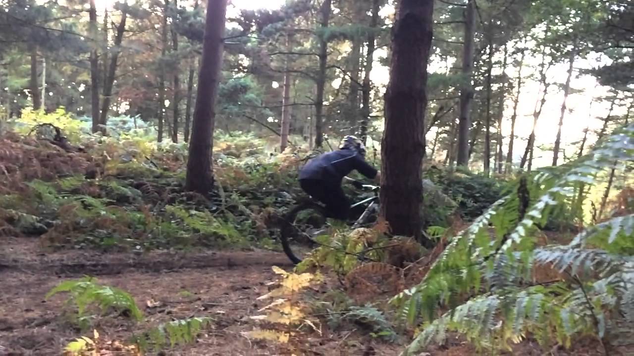 mini DH - YouTube