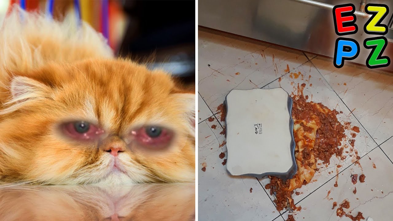 r/Blursedimages · garfield drop lasagna 🥺☹️ - YouTube
