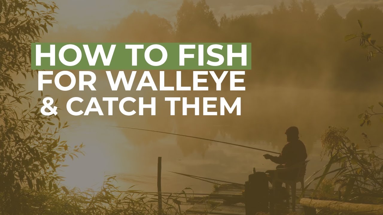 How to Fish for Walleye & Catch Them - YouTube