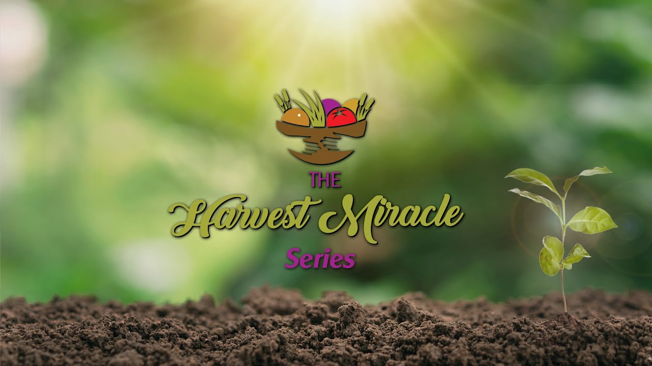 The Harvest Miracle Sermon Series Intro October 31 2021 - YouTube