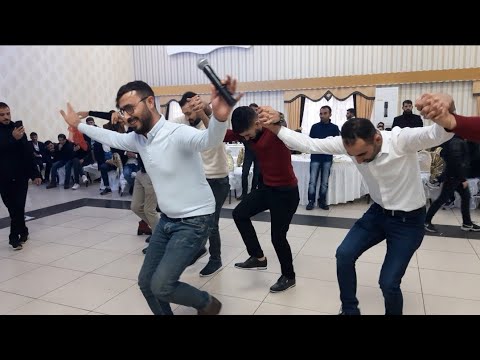 Ful halay şirin argeş koma arjin