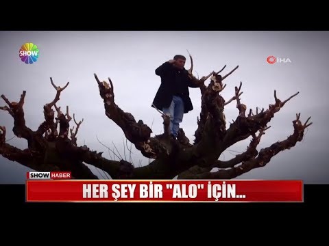 Her şey bir \