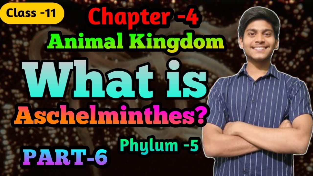Part 6 || ANIMAL KINGDOM || Phylum- Aschelminthes || What is ...