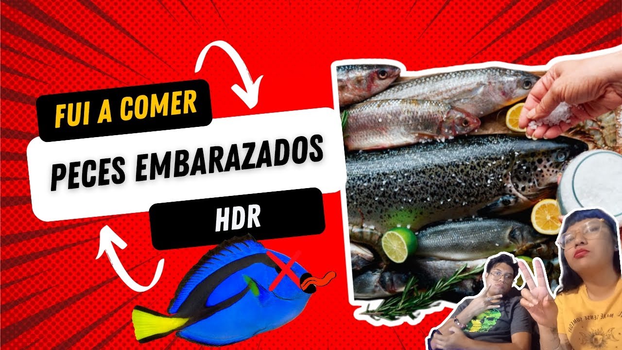 Fui a comer pece embarazados... episodio 13 - YouTube