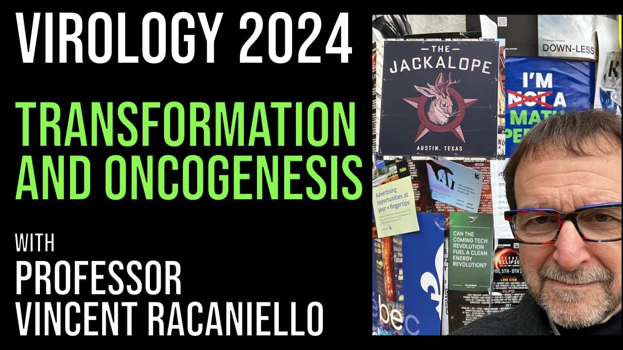Virology Lectures 2024 #18: Transformation and Oncogenesis - YouTube