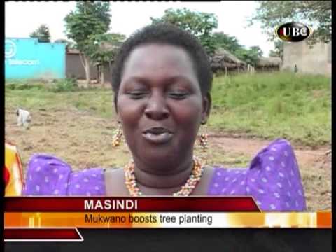 Mukwano Masindi Tree Planting Project Aug  2012   UBC news