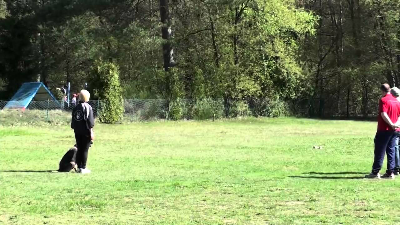 Michelle Bechtel - YouTube