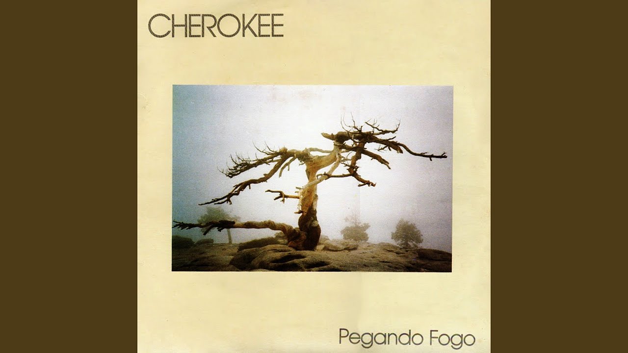 Pegando Fogo Youtube Music
