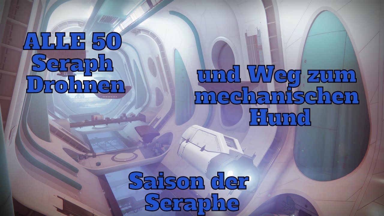 ALLE 50 Seraph Drohnen und Weg zum mechanischen Hund I Destiny 2 Saison ...
