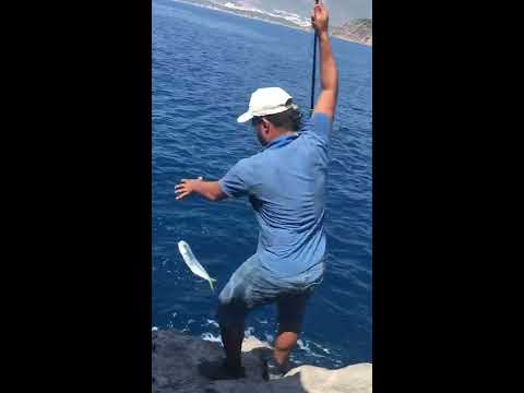 Lambuka Avı - Mehmet Tülü