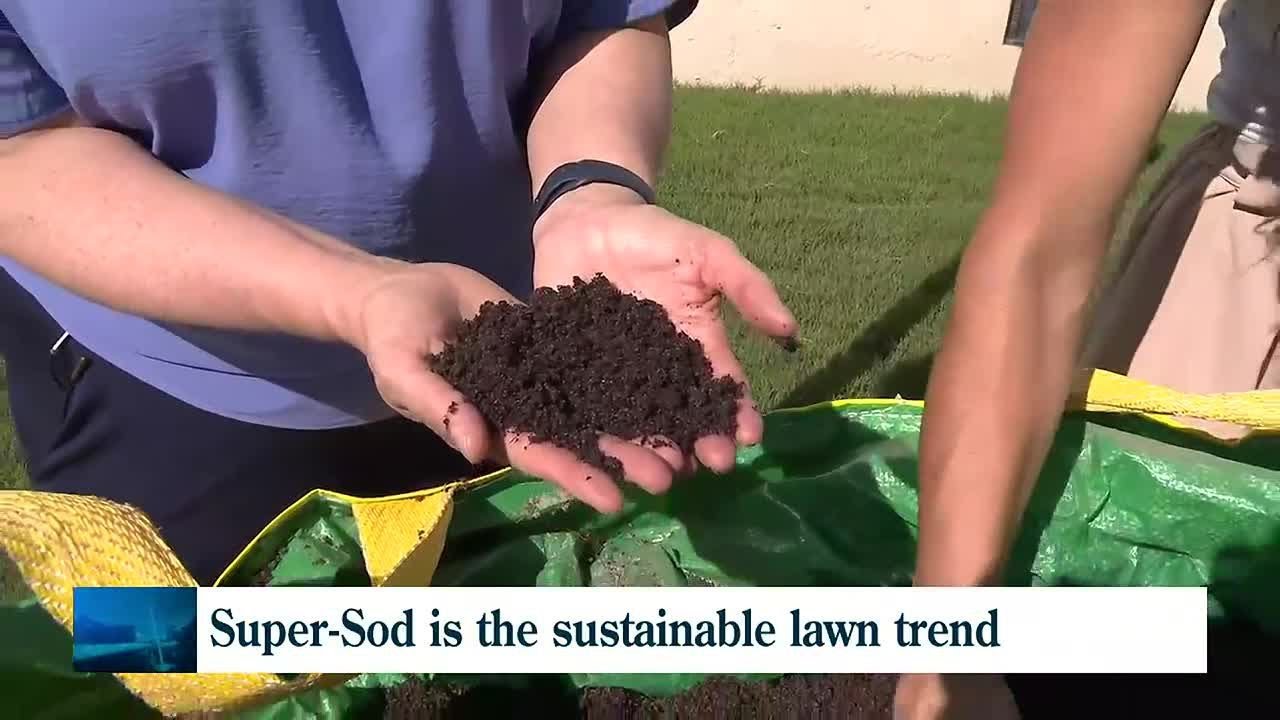 Soil Selection for your Plants - YouTube