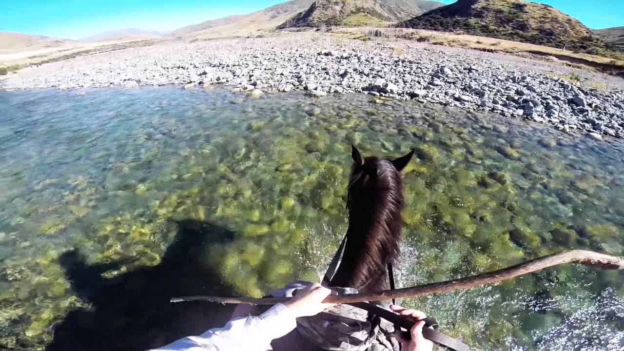 Mustering New Zealand High Country - YouTube