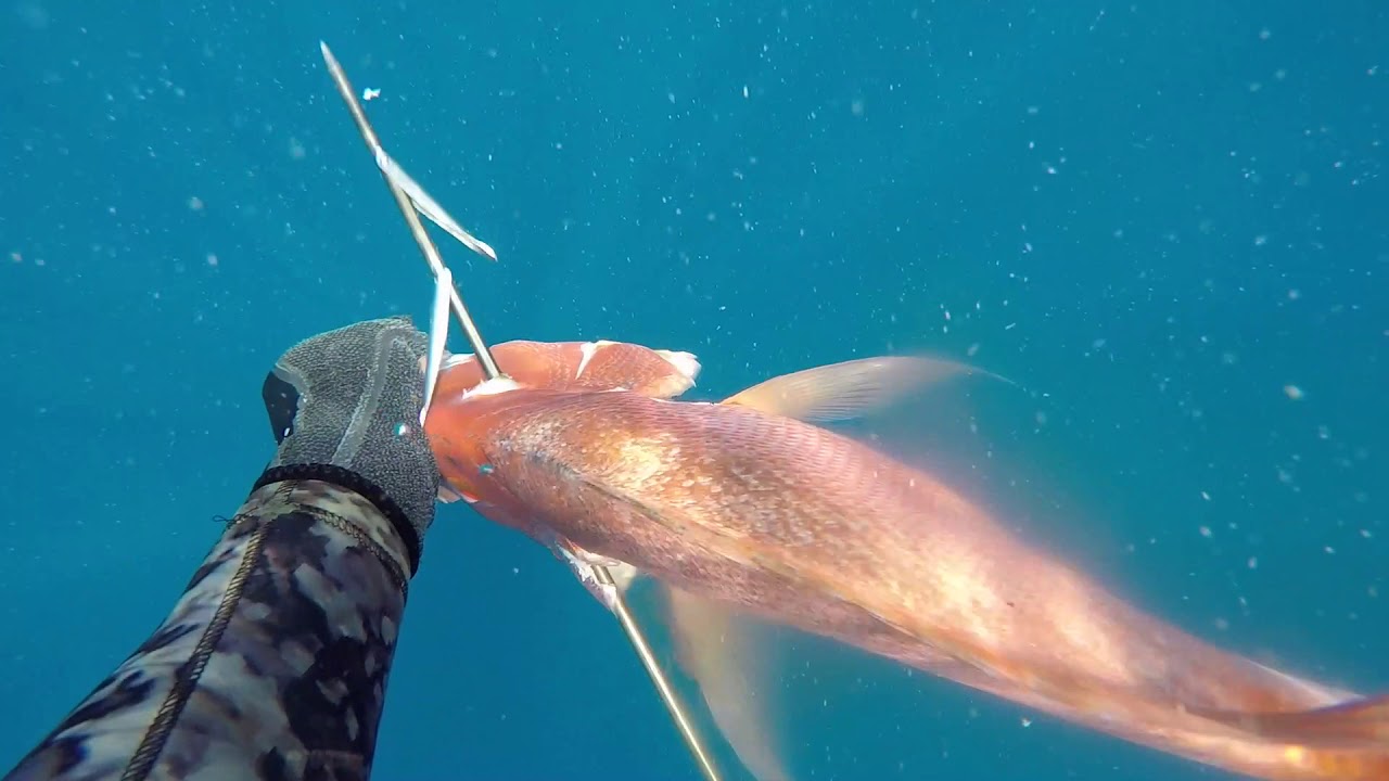 large mouth nanagai uncut - YouTube