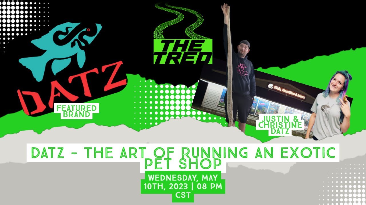 DATZ - The Art of Running an Exotic Pet Shop - YouTube