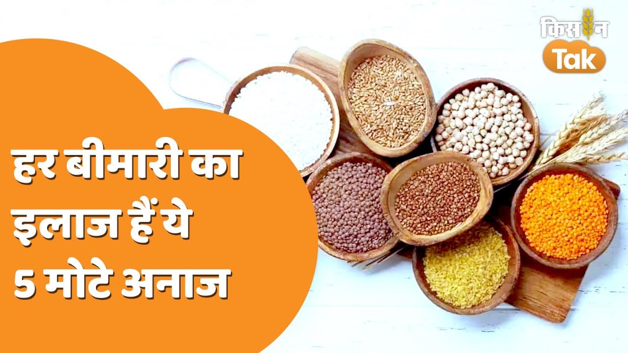 ये 5 Positive Millets खाएं और शुगर, बीपी, मोटापा दूर भगाएं | Millets ...