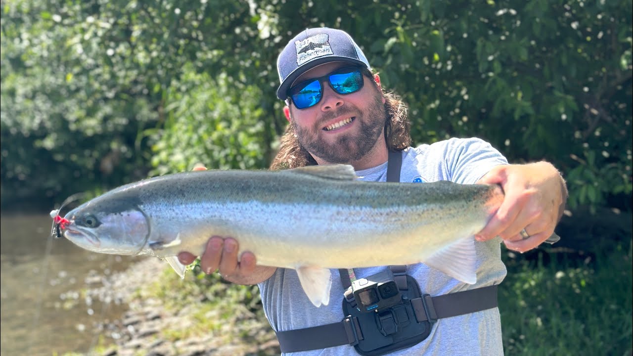 Fishing for CHROME Summer Steelhead (MULTIPLE Steelhead Caught) - YouTube