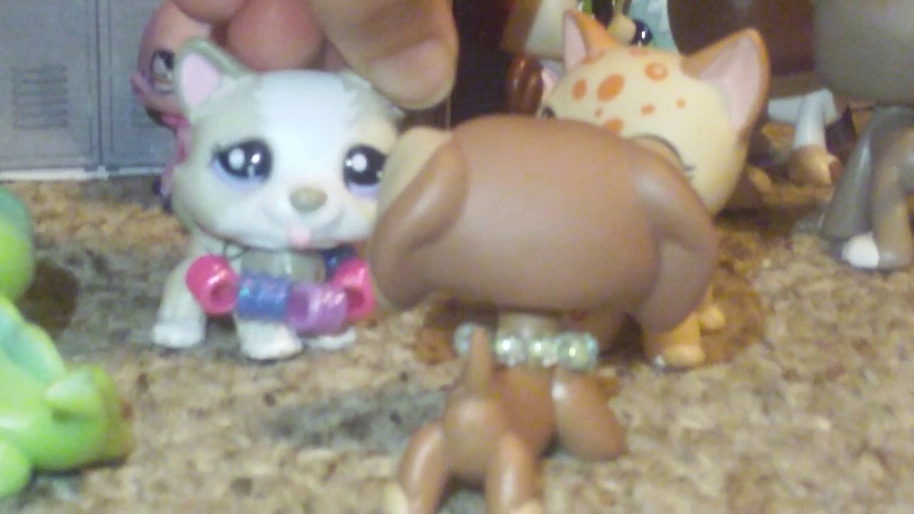 Lps The rise of the popularity episode 1 - YouTube