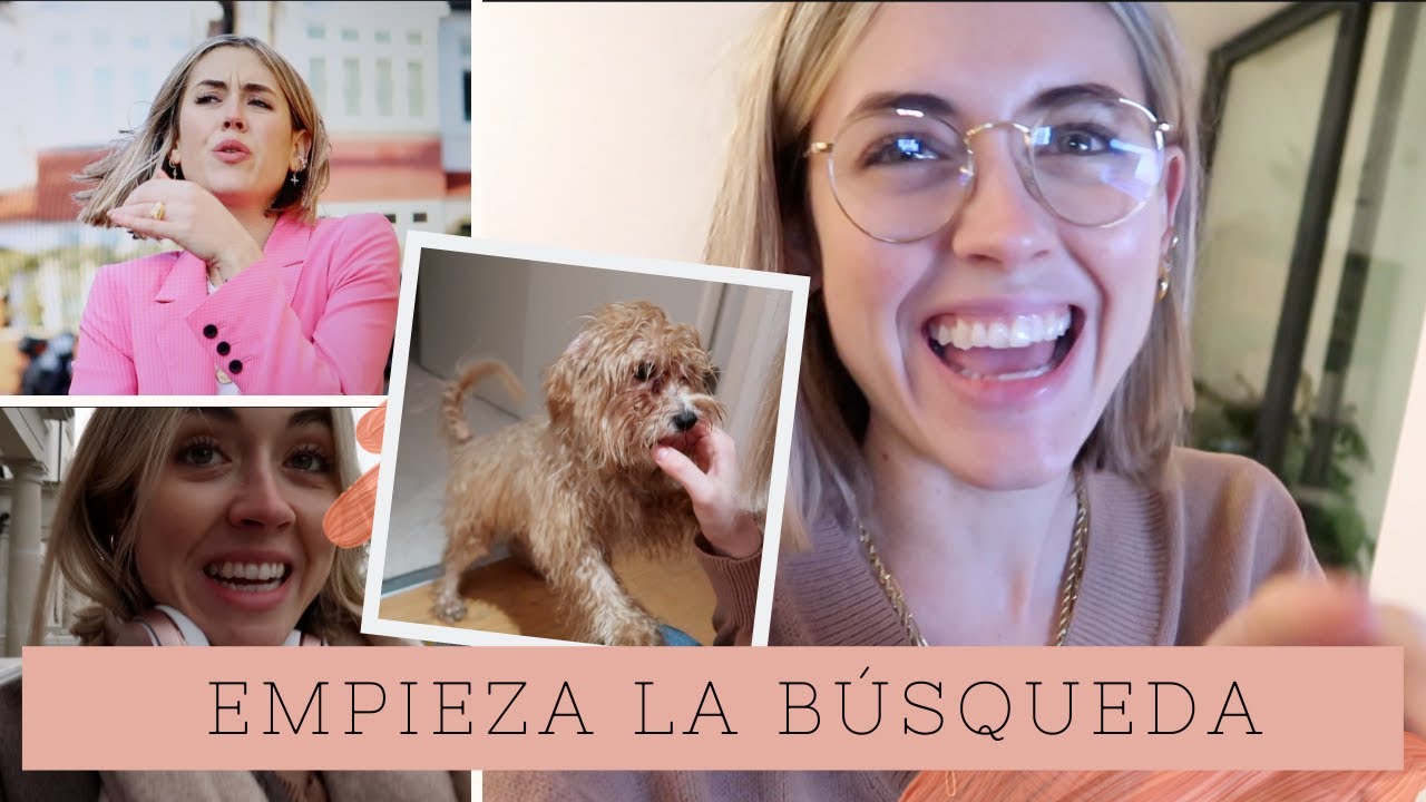 EMPEZAMOS LA BÚSQUEDA DE NUEVA CASA | AMY TOKS - YouTube