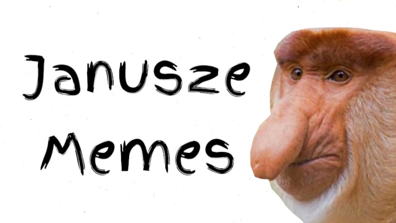 🐵JANUSZE MEMES 1🐵 - YouTube