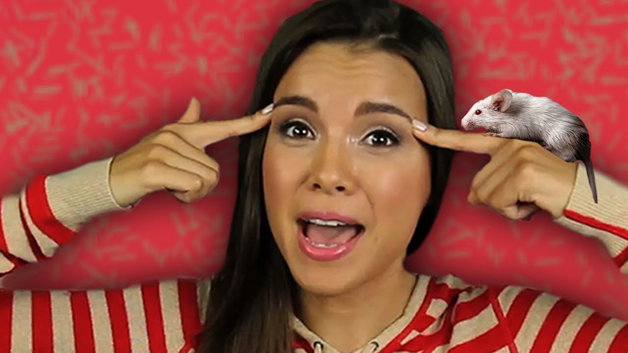 "Mouse Eyebrows!?" - Ingrid's Fashion Fact of the Day! - YouTube