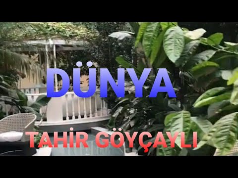 Tahir Göyçaylı Dünya Haqında Segah  Yeni
