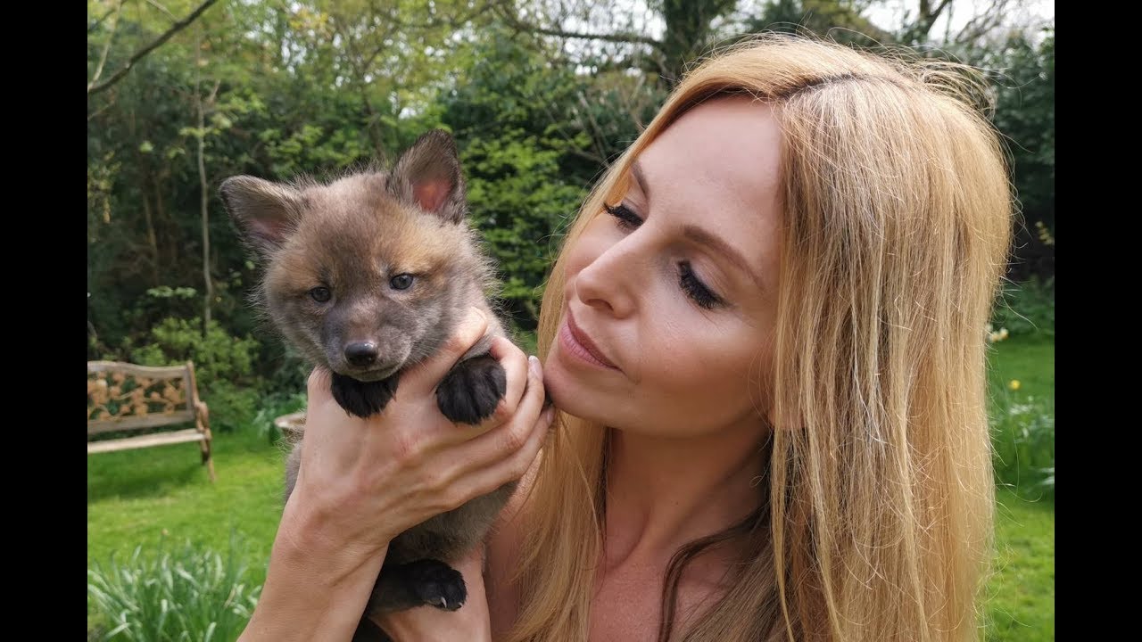 Sandra Reddy's Instagram, Twitter & Facebook on IDCrawl