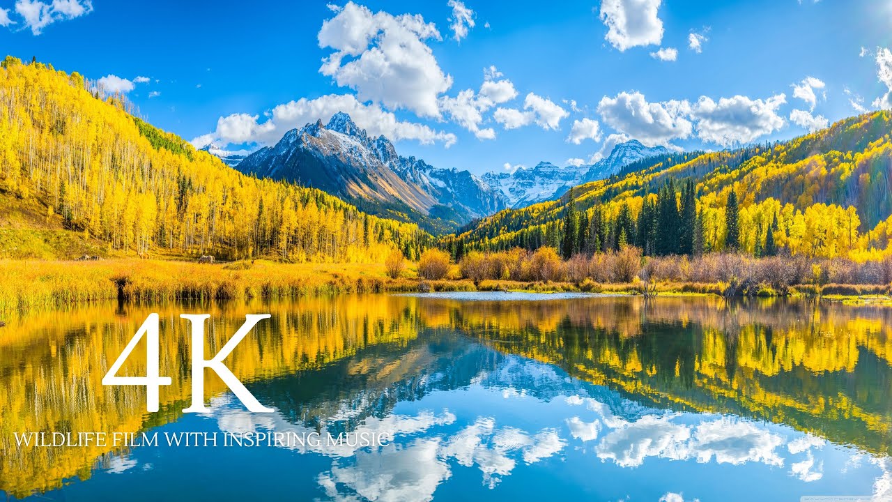 Explore Yellowstone National Park | 4K HD Nature Documentary - YouTube