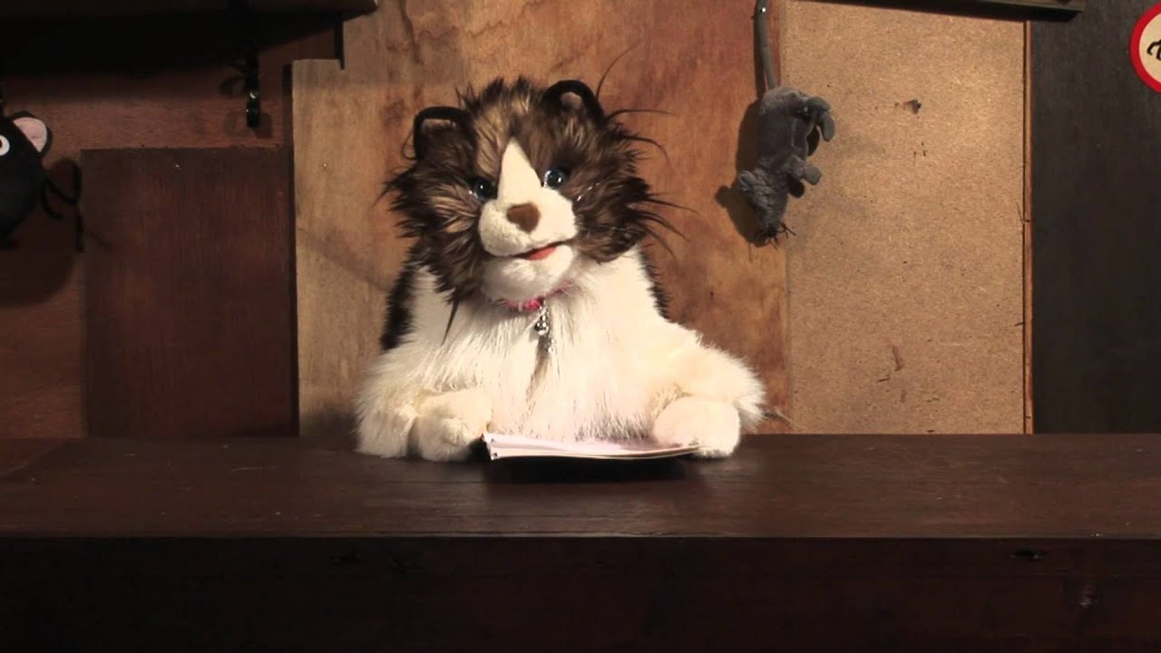 'Claws for Concern' - Episode 4 : Books Don't Grow On Trees - YouTube