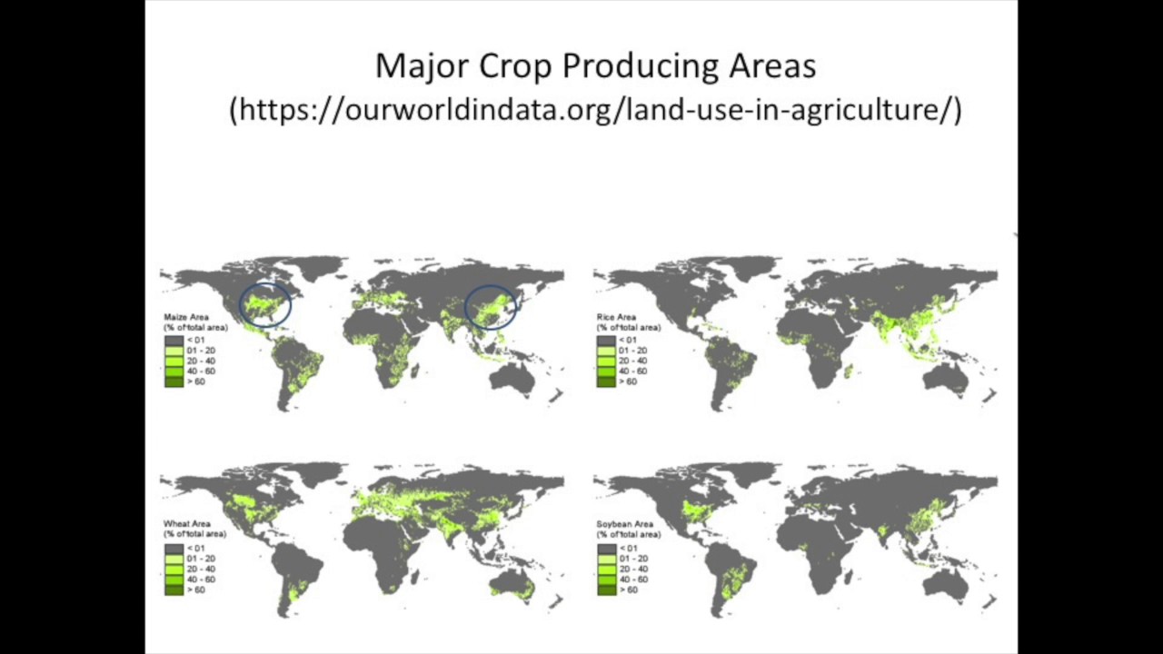 2 1 world crop production - YouTube