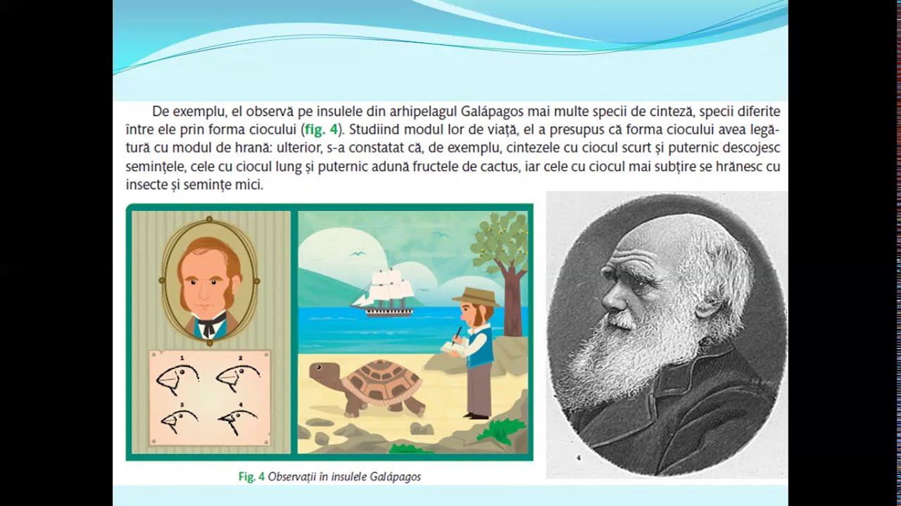 TEORII ALE EVOLUTIEI- Lectii de biologie clasa a VIII -a - YouTube