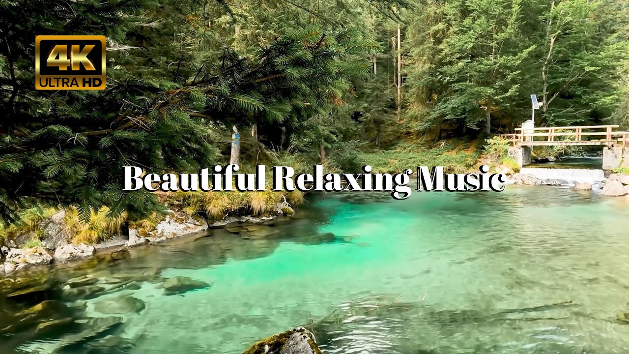 Beautiful Forest River Nature Sounds and Relaxing Music, Birdsong and ...