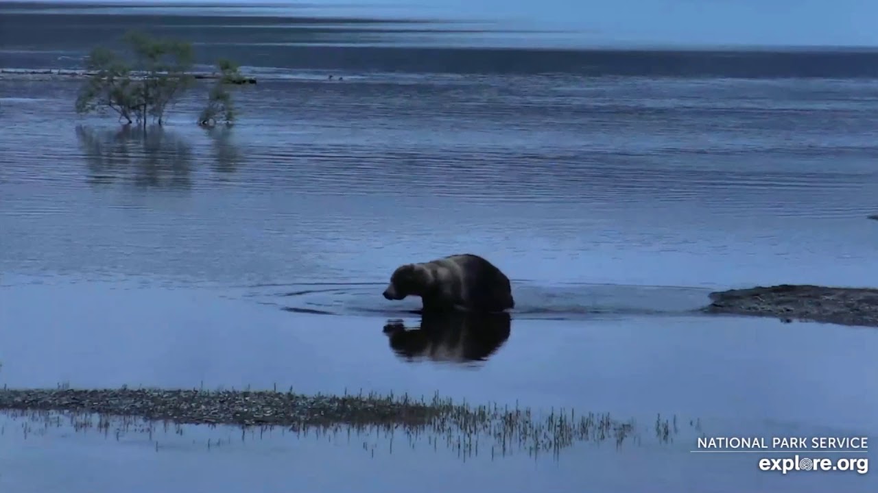 89 Backpack on the spit 6/30/2020 - YouTube