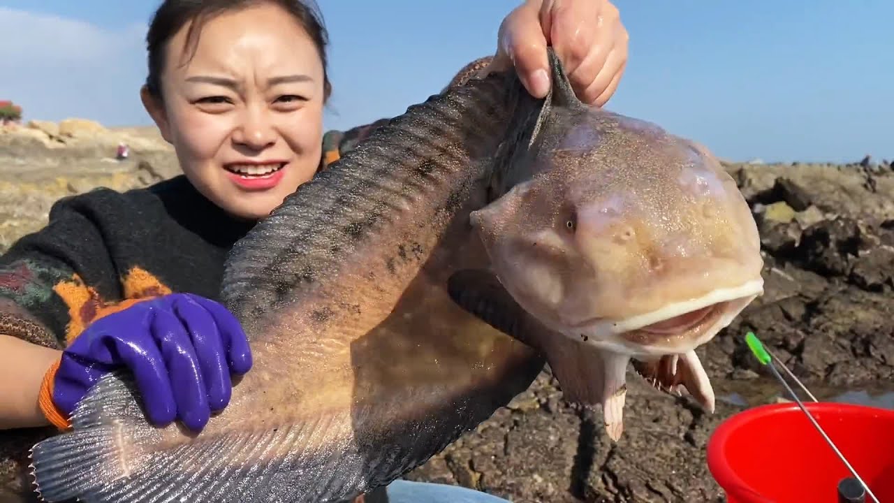 It Looks Like a Shoebox In The Distance, But It Is a Baby-Faced Fish ...