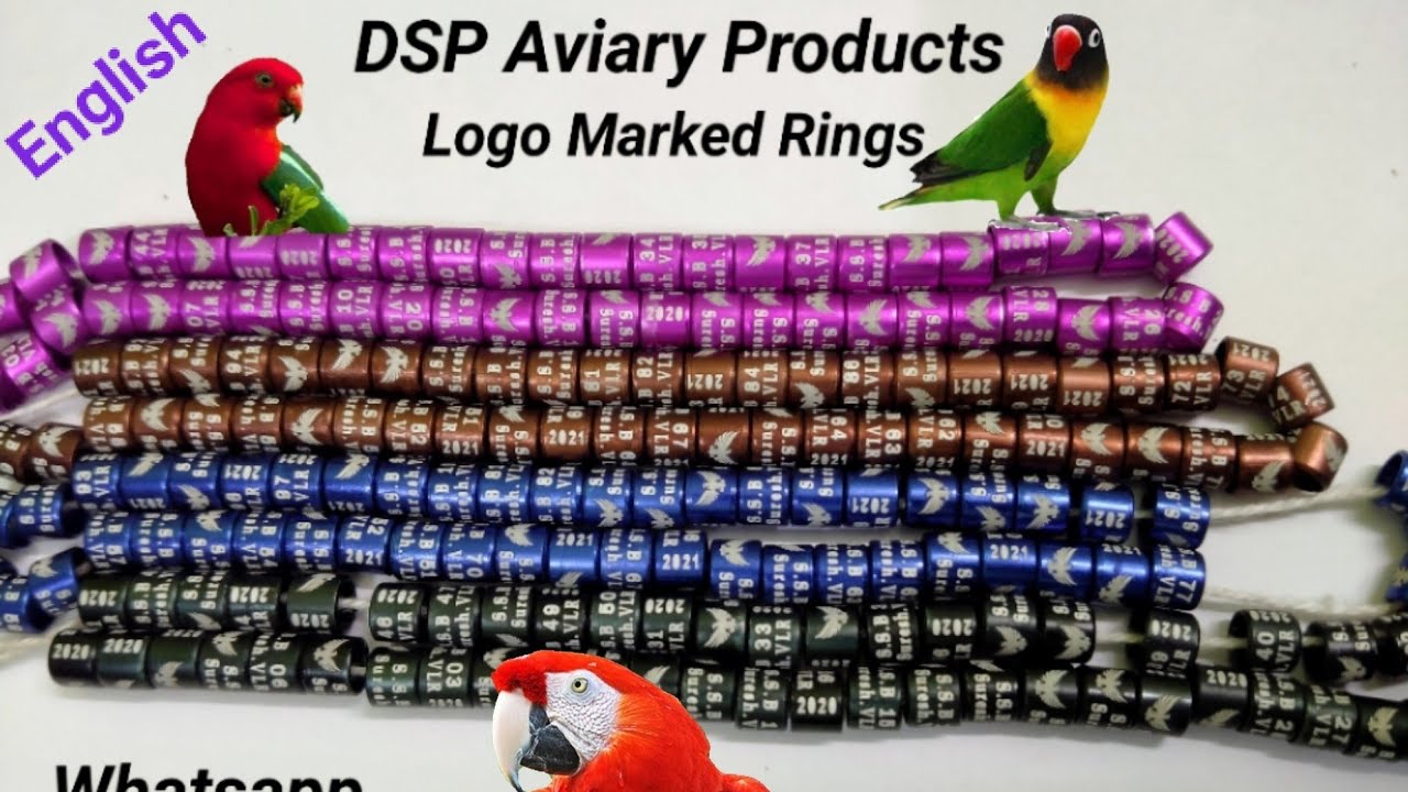 English - Exotic Birds Leg Rings / Bands Uses and some Tips and Facts ...