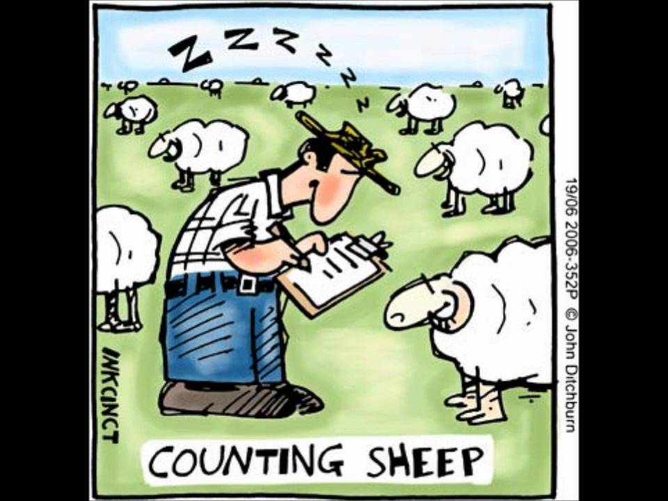 Counting Sheep Funny