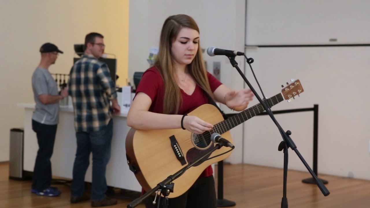 briner sealey / live at the north carolina museum of art / nov, 14 2016 ...