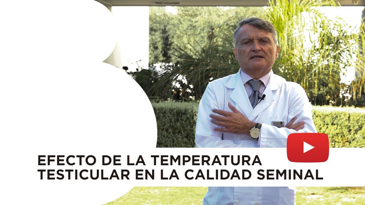 Efecto de la temperatura testicular en la calidad seminal - YouTube